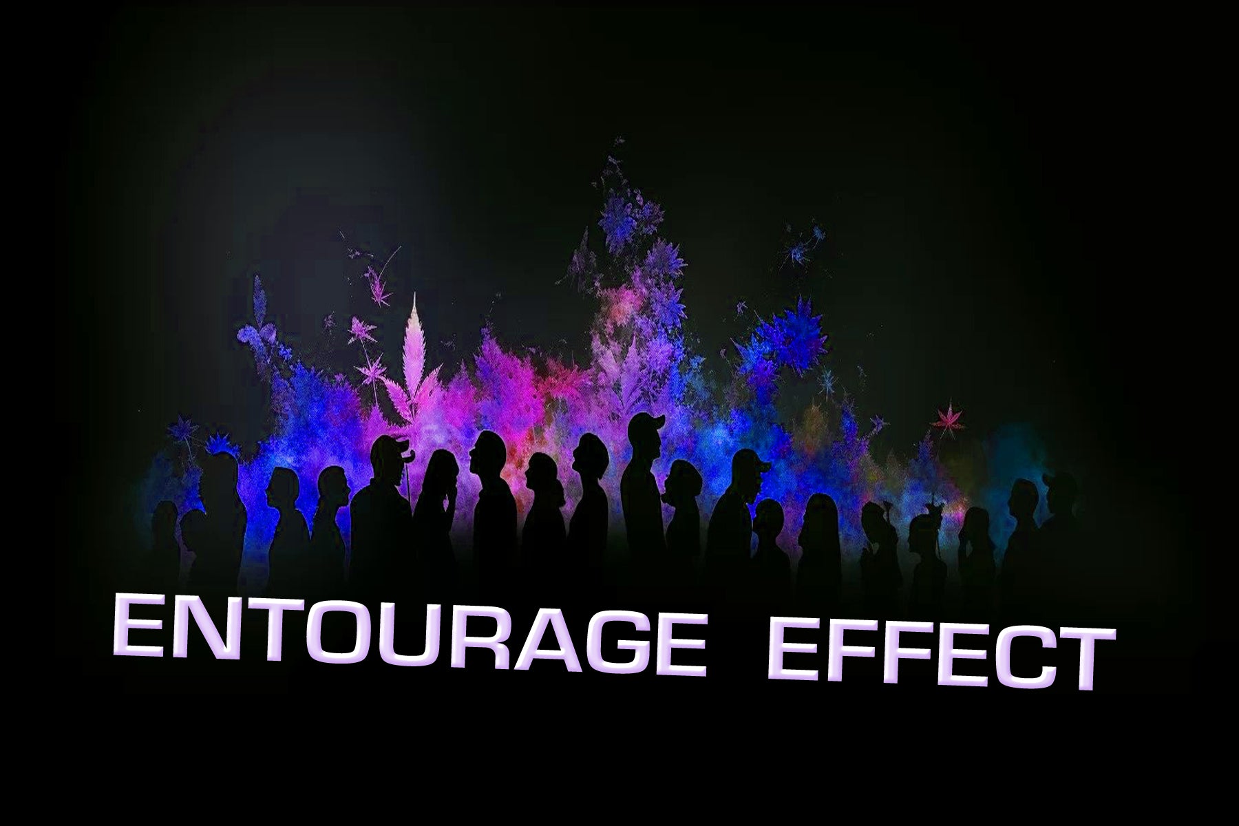 The Entourage Effect: Cannabis' Secret Sauce – CBD Brand Review